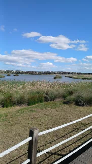 Armação de Pera: Salgados Natural Park E-Bike Tour - Discovering Algarve on E-Bikes