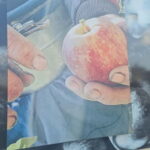 Armamar: Apple Orchard Tour with Lunch and Tastings - Exploring Portugal’s Apple Heritage: What’s in Store?