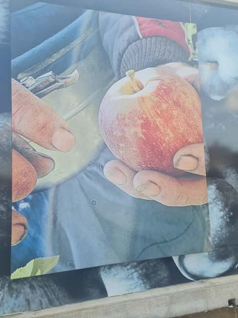 Armamar: Apple Orchard Tour with Lunch and Tastings - Exploring Portugal’s Apple Heritage: What’s in Store?