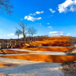Arnhem: 8-hour culinary car tour of Veluwe - Scenic Stops and Nature Walks