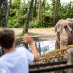 Arnhem: Burgers' Zoo Entry Ticket - The Practicalities of Visiting Burgers Zoo