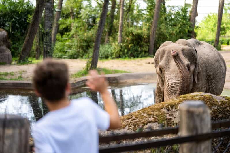 Arnhem: Burgers' Zoo Entry Ticket - The Practicalities of Visiting Burgers Zoo