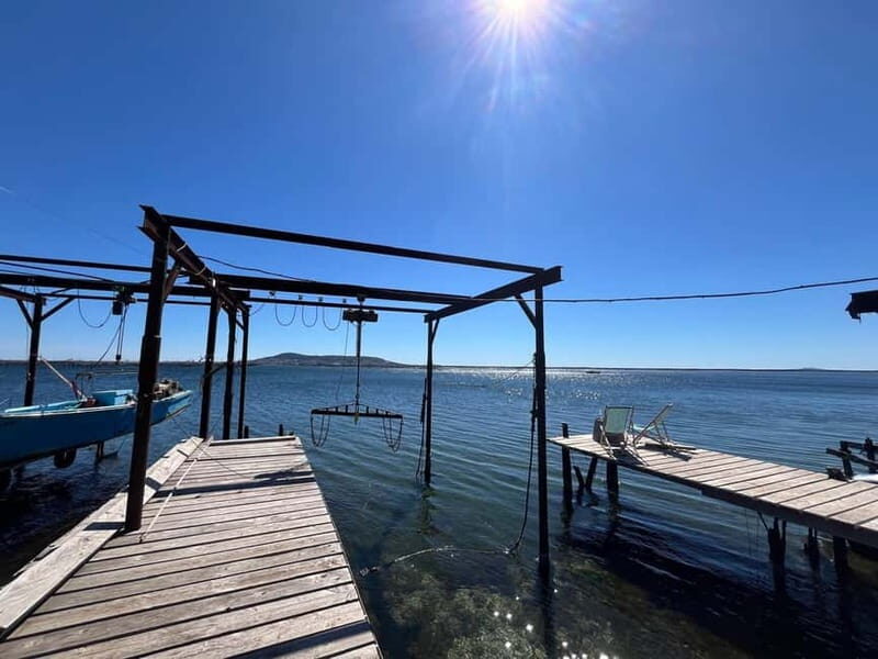 Around the Thau lagoon - tours and tastings - A Day in the Life: What to Expect from the Tour
