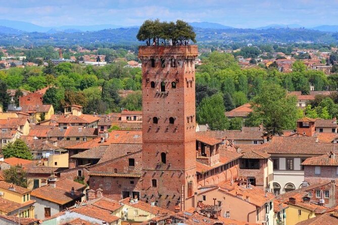 Around Tuscany: Carrara Marbles, Pisa & Lucca - Key Points