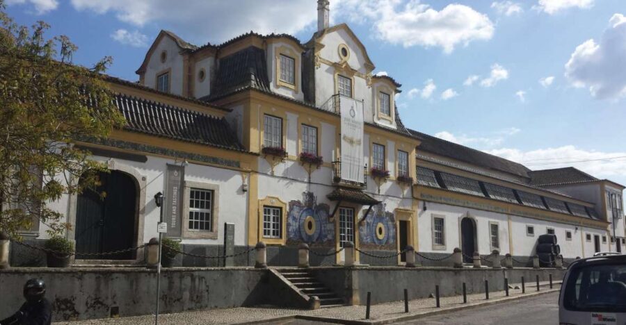 Arrábida: Full-Day Private Tour with Wine Tasting - An In-Depth Look at the Arrábida Private Tour