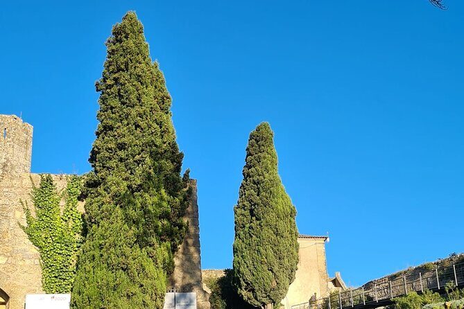 Arrábida: Private Setubal Highlights Tour (Full Day) - Practical Details & What to Expect