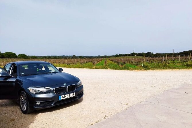 Arrábida & Setúbal Wine Tour: Food & All-Inclusive from Lisbon - An Authentic Day in Portugal: Arrábida & Setúbal Wine Tour Review