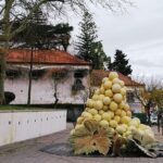 Arrábida tour with wine tasting - Scenic and Authentic: The Highlights of the Arrábida Tour