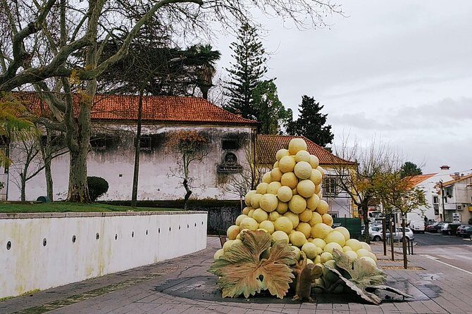 Arrábida tour with wine tasting - Scenic and Authentic: The Highlights of the Arrábida Tour