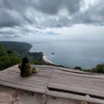 Arrábida: Wine Tour & Dinner with Wine Pairing (Private) - Scenic Highlights: Serra da Arrábida and Natural Park