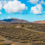 Arrecife: Timanfaya and Green Lagoon for Cruise Passengers - Who Will Love This Tour?