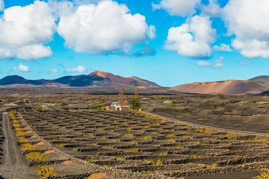 Arrecife: Timanfaya and Green Lagoon for Cruise Passengers - Who Will Love This Tour?