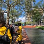 Art and Architecture Walking Tour in Rotterdam - guided by Architects - Balancing Value and Experience