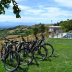 Asciano & Crete Senesi E-BIKE Tour + Pick-up&Drop-off by Van - What’s Included and How It Works