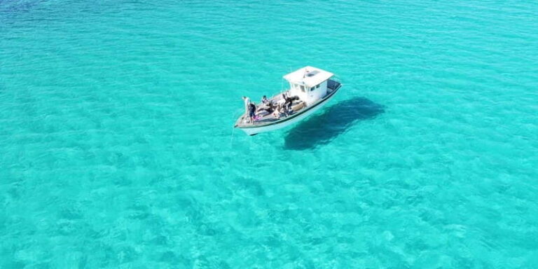 Asinara by Boat: Half-Day Morning Tour among crystal clear waters - Cost, Duration, and Practical Tips