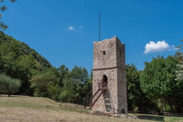 Assisi: Bosco di San Francesco Entry Ticket - The Value of the Experience