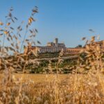Assisi on the Footsteps of St. Francis and Carlo Acutis - Key Points