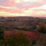 Assisi Rental Vespa '125cc - full day - What Travelers Say