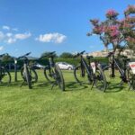 Assisi to Spello Bike & Wine Tour - What To Expect and Practical Details
