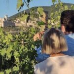Assisi: Wine tasting, gourmet pairing, walk in the vineyards - What Travelers Love and What to Keep in Mind