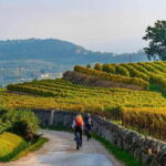 Asti Island: E-Bike & Wine Tasting Experience - Who Will Love This Tour?