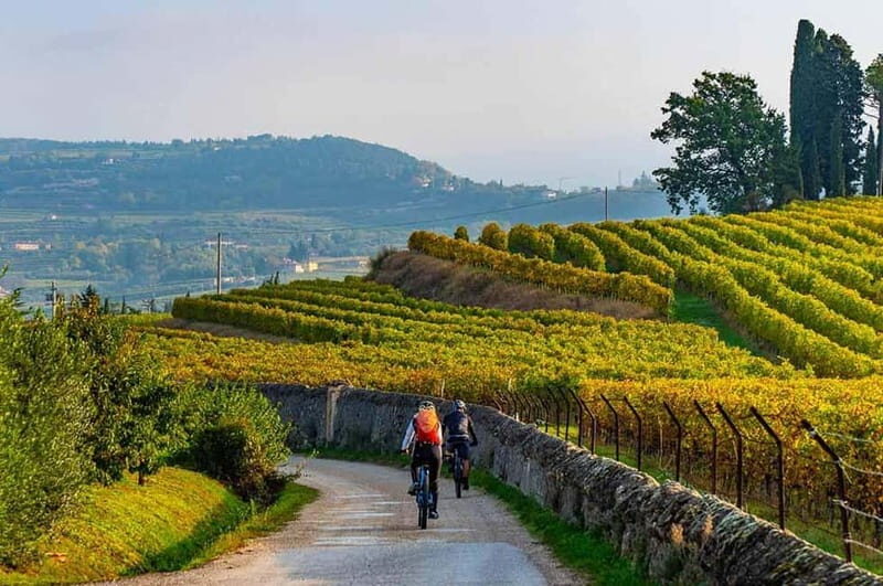 Asti Island: E-Bike & Wine Tasting Experience - Who Will Love This Tour?