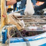 Asti: Market, Cooking Demo and Meal at a Local's Home - Final Considerations: Is This Experience Right for You?