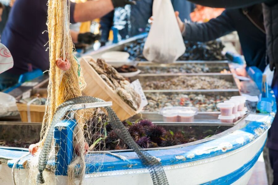 Asti: Market, Cooking Demo and Meal at a Local's Home - Final Considerations: Is This Experience Right for You?