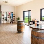 At the gates of Toulouse: from the vine to the cellar - Transport and Practicalities