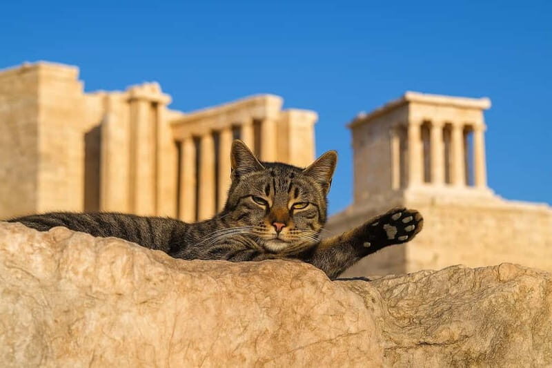 Athens: Acropolis Guided Tour with Skip-The-Line Tickets - Who Should Book This Tour?