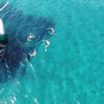 Athens: Catamaran Cruise with Light Lunch and Wine - What to Expect on the Boat