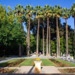 Athens: Discover Greek Culture, History, Monuments & Areas - What You’ll See and Experience