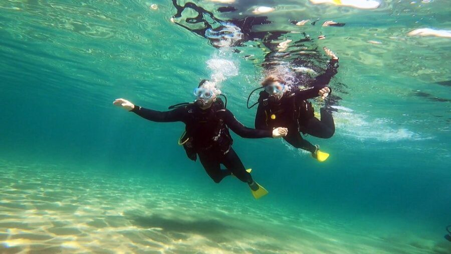 Athens East Coast: Discover Scuba Diving in Nea Makri - Authentic Experiences and Review Highlights