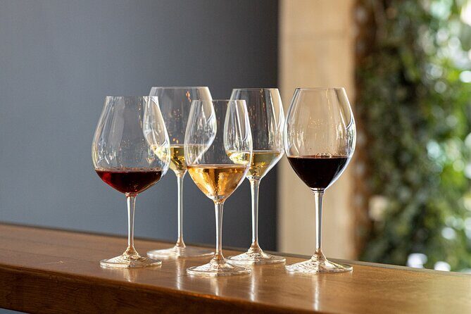 Athens Greek Wine Tasting with Expert Sommelier - Who Will Enjoy This Tour?