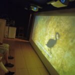 Athens: Philosophy Experience at Plato's Academy Park - The Day’s Journey