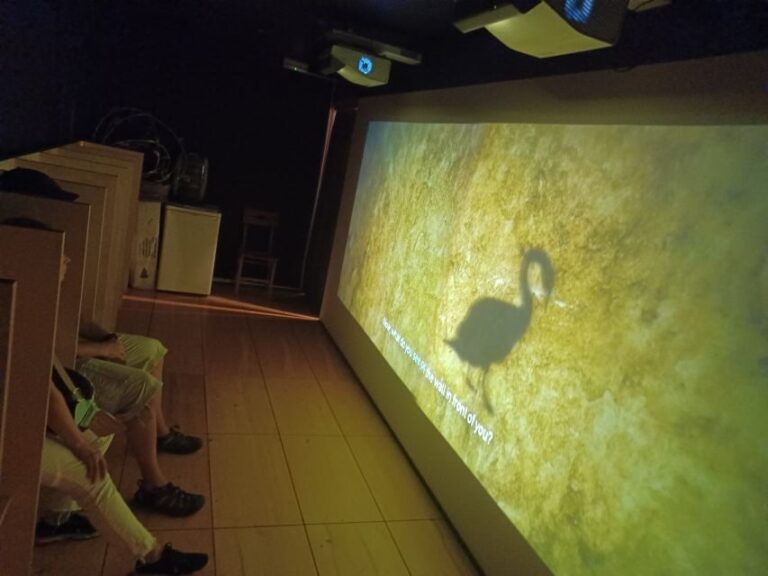 Athens: Philosophy Experience at Plato's Academy Park - The Day’s Journey