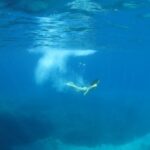 Athens: Private Cruise with Snorkeling and Swimming - The Value of a Private Tour