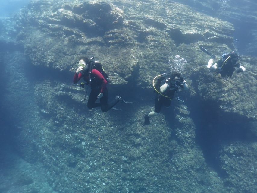 Athens: Private Discover Scuba Diving for Beginners - The Itinerary: Step-by-Step