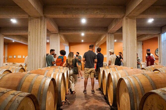 Athens to Nemea Wine Experience Tour - Who Will Enjoy This Tour?