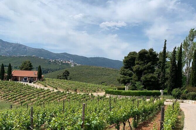 Athens Wine Tour - An Outstanding Full Day Experience For Dedicated Winelovers - The Authentic Experience and What Sets It Apart