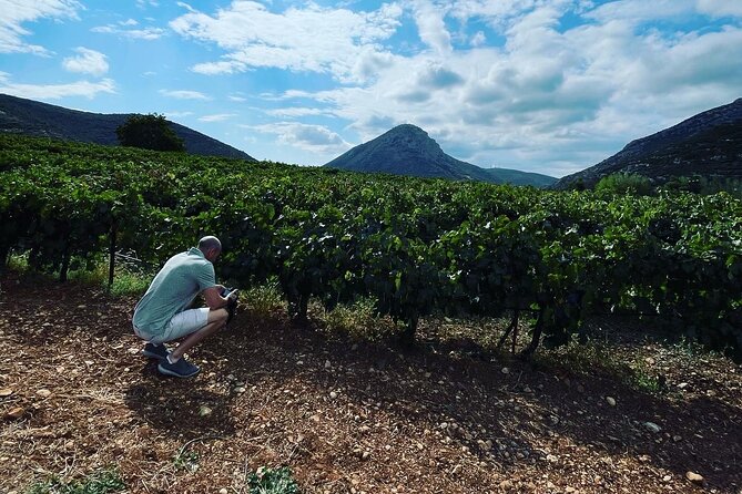 Athens Wine Tour with Wine Expert - Practicalities and Value
