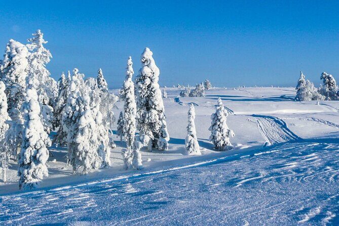 ATV Safari on Ice and Snow - Final Word: Is It Worth It?