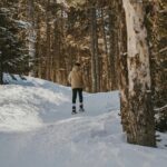 Aurora Hunting with Snowshoes - Who Will Love This Tour?