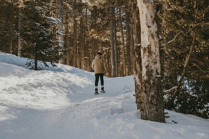 Aurora Hunting with Snowshoes - Who Will Love This Tour?