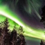 Auroras - Northern Lights Tours by Aurora Experts - Rovaniemi - Key Points