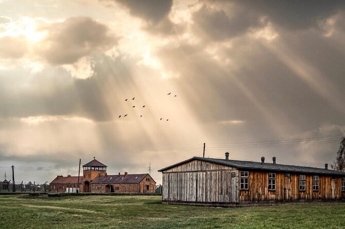 Auschwitz and Birkenau WITHOUT GUIDE private transport from Kraków - Key Points