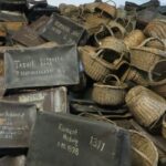 Auschwitz-Birkenau and Krakow Private Car Trip from Katowice - Who Should Consider This Tour?