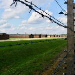 Auschwitz-Birkenau: Guided Tour - Ticket + Transportation - Who Will Love This Experience