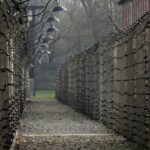 Auschwitz-Birkenau Guided Tour & Transfer from Krakow - What You’ll Experience During the Visit