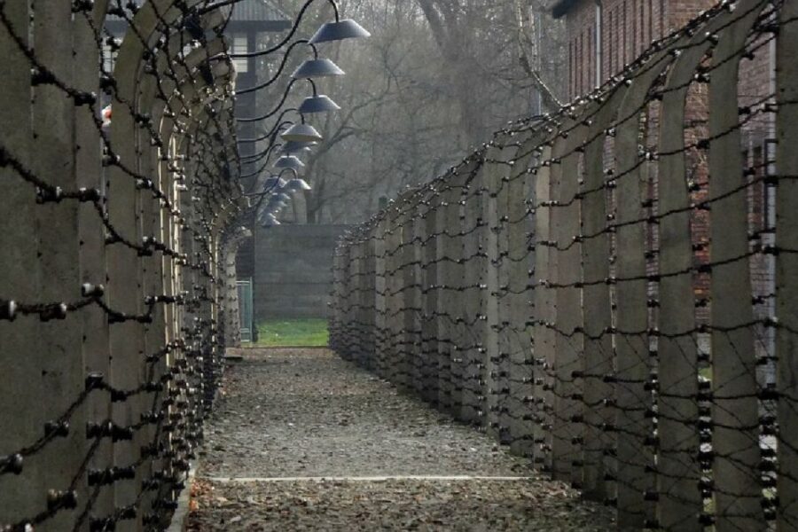 Auschwitz-Birkenau Guided Tour & Transfer from Krakow - What You’ll Experience During the Visit
